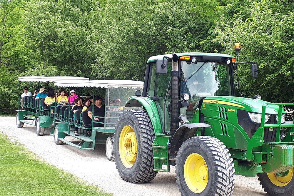 Tractor Wagon Rides - Scenic Caves Nature Adventures - Blue Mountains