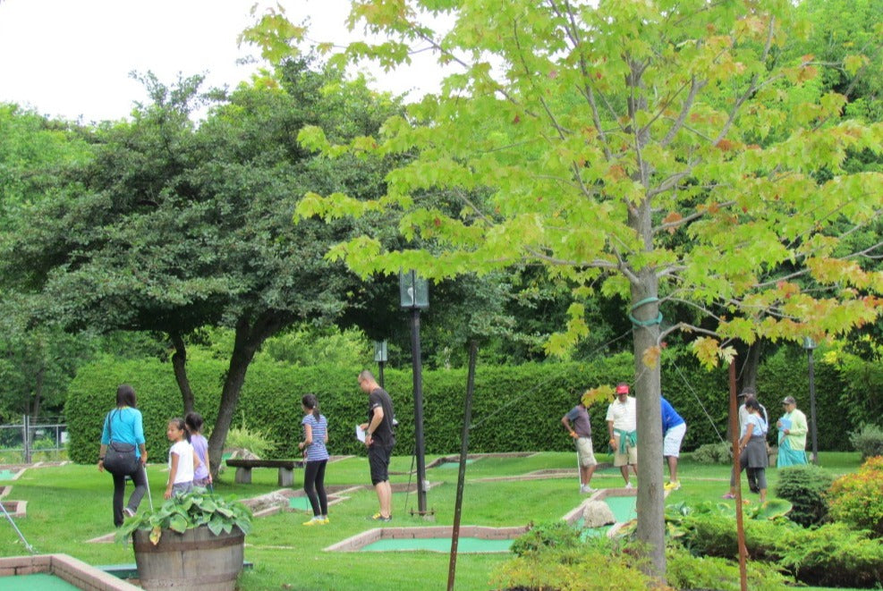 Mini Golf - Scenic Caves Nature Adventures - Collingwood